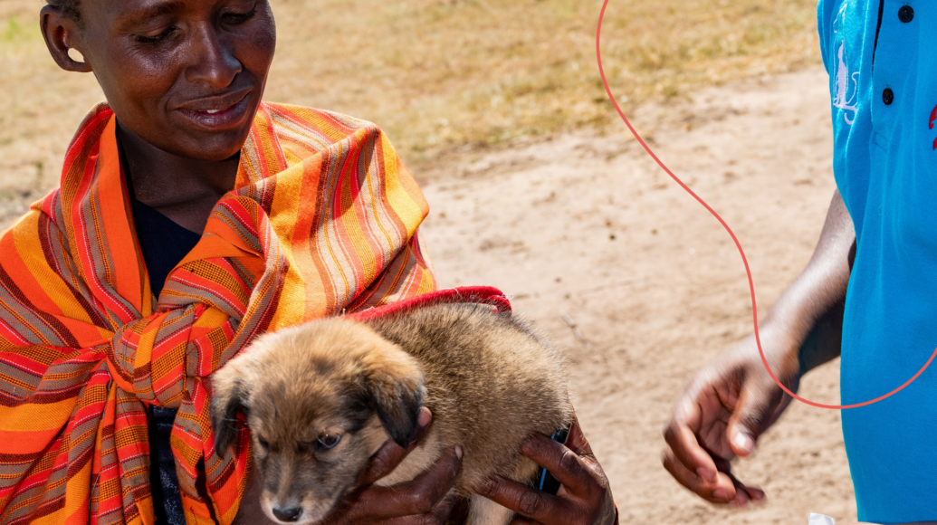 Homepage - Vétérinaires Sans Frontières